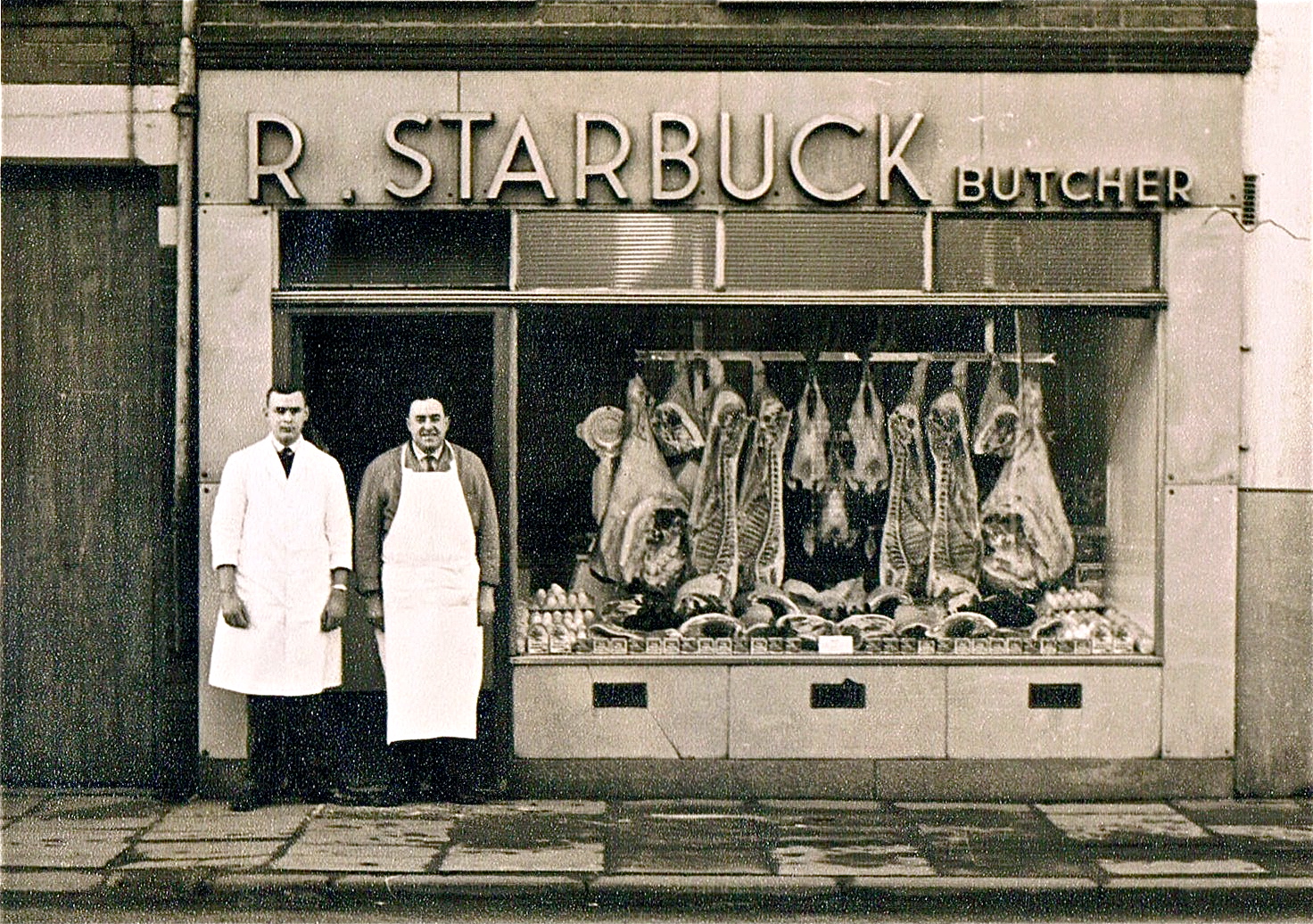 Armadillo's Holistic Kerfuffle