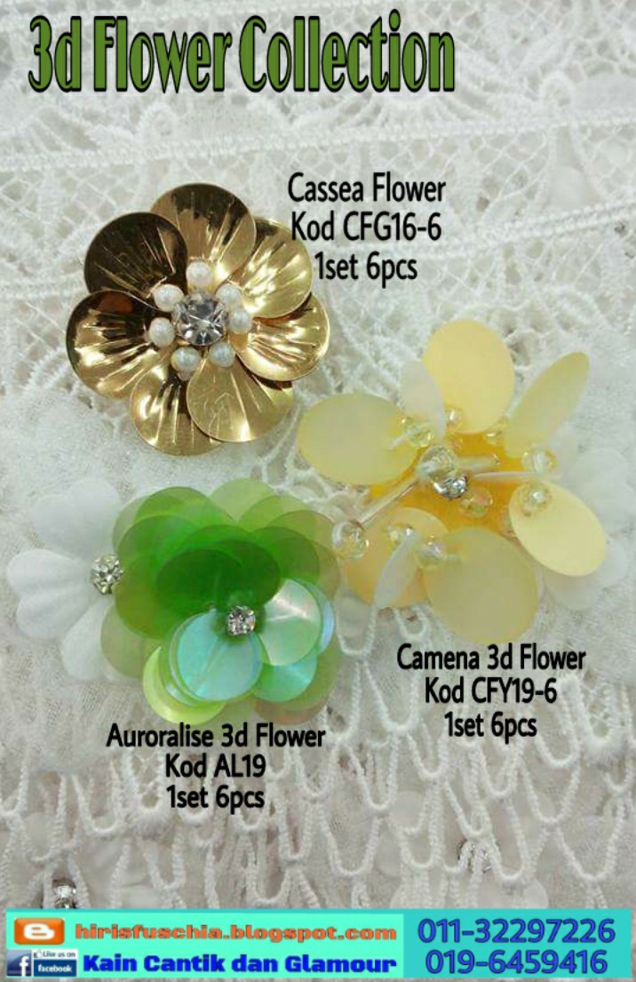 HirizFuschiea: Musim Bunga-Bunga 3d (3d Flower) melanda Malaysia