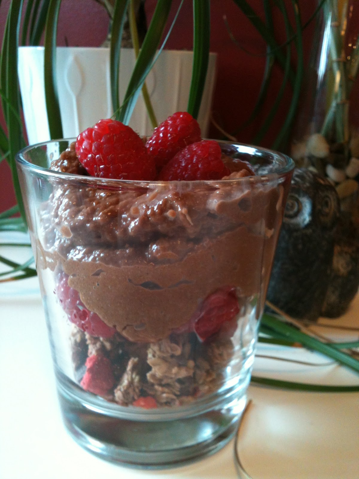 Doodles and Dessert: Dessert of the Day: Chocolate Raspberry Parfait