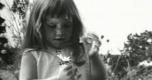 What Is Daisys Destruction Horror Galore