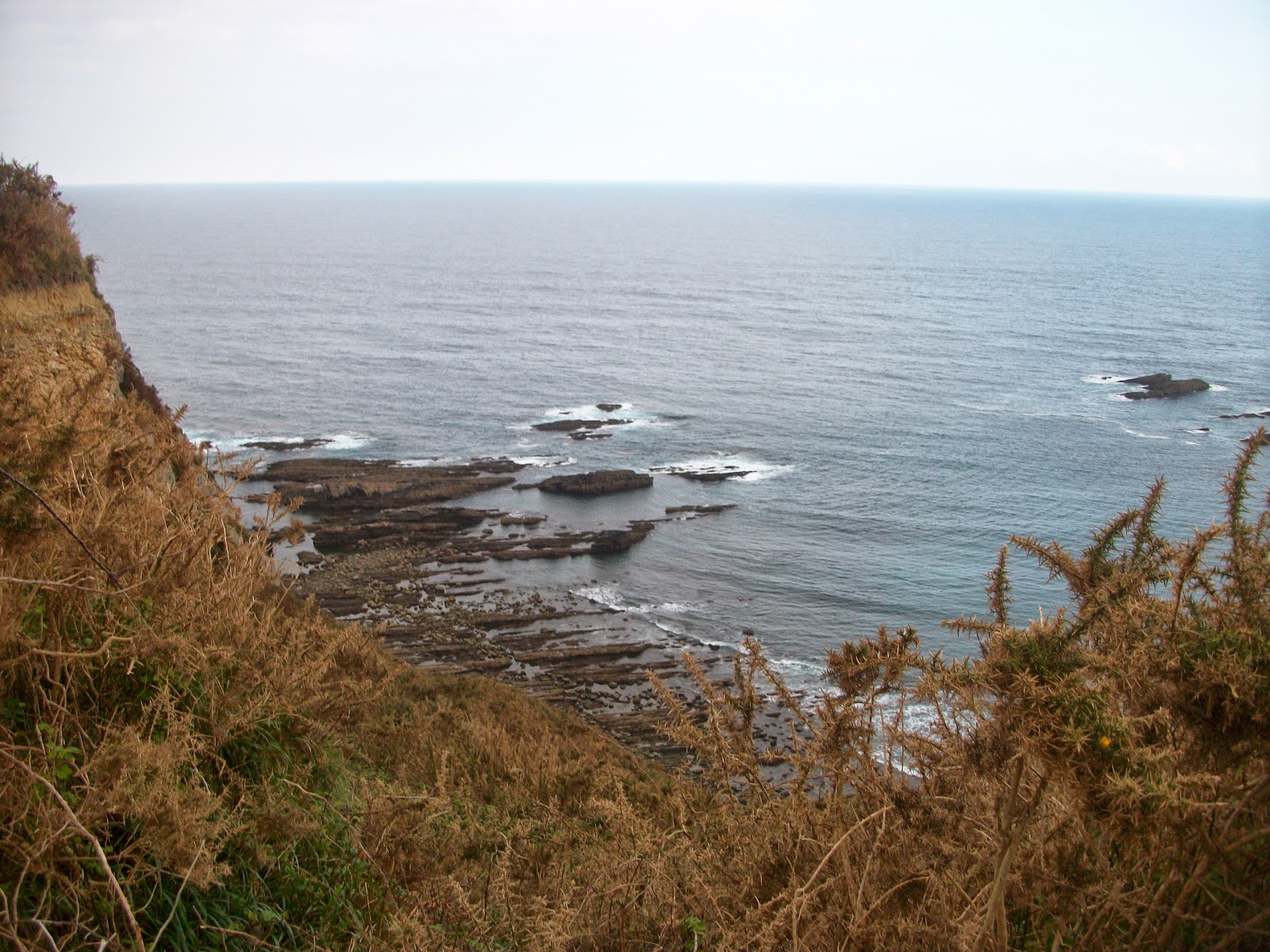 LOBA DE MAR : DIA EN EL PEDRERO