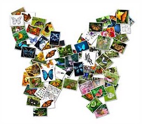 MaTe+TICas y ArTe: ¿Collages para aprender Matemáticas?