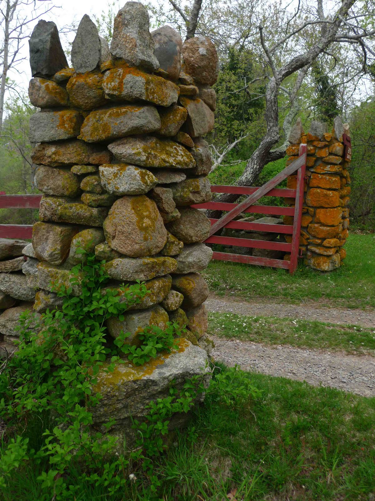 Jeffrey Bale's World of Gardens: The Chilmark Walls, Martha's Vineyard ...