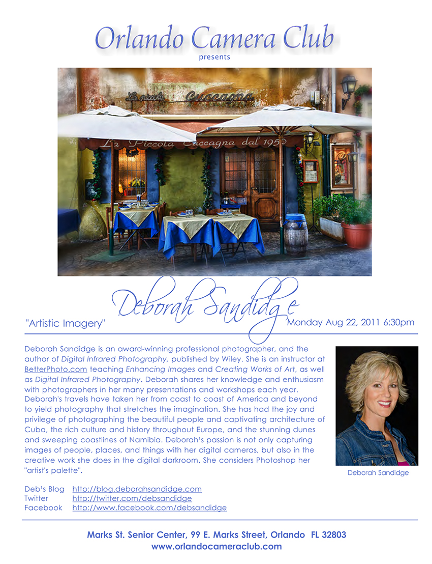 Deborah Sandidge: August 2011