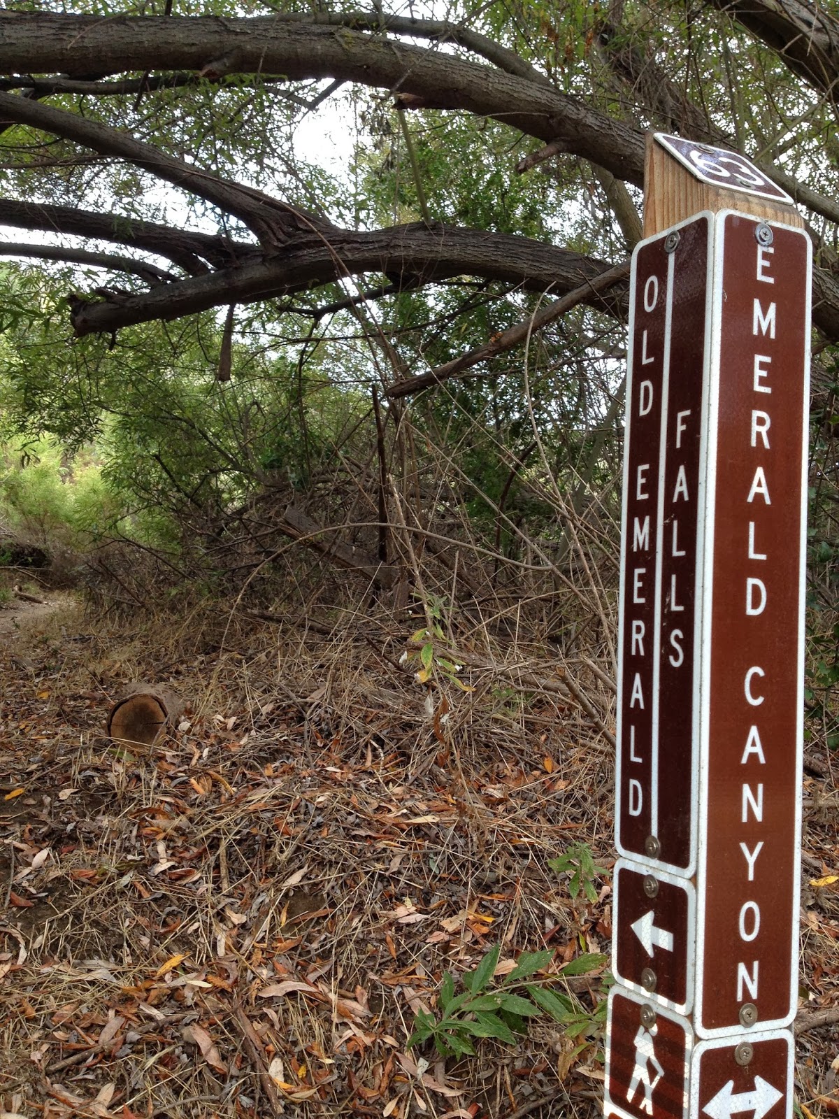 Iron Hiker: Laguna Coast Willow Canyon to Old Emerald Falls Loop