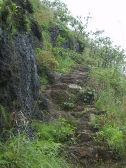 Pandavgad Fort Maharashtra