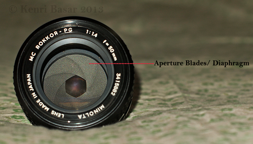 Through my lens: Aperture and Depth of field