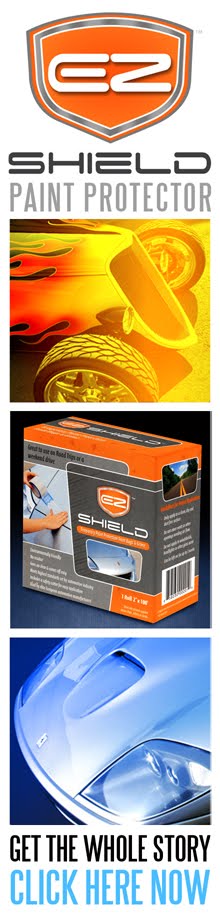 EZ Shield Paint Protection