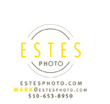 Artists Up Rising by Rosa Phoenix (Art Reviews, Artist Interviews, Art ...