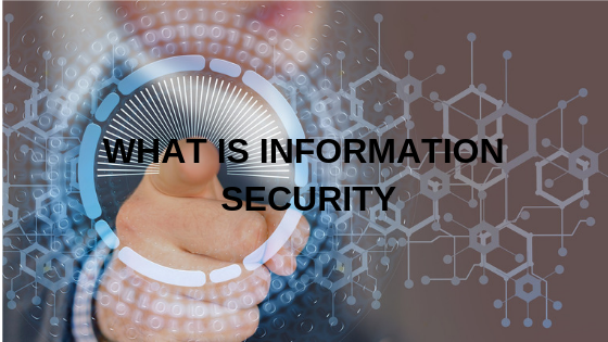 WHAT IS INFORMATION SECURITY - JANKARI DENE WALE