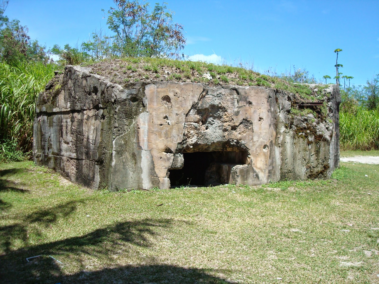 paleric: JAPANESE TINIAN