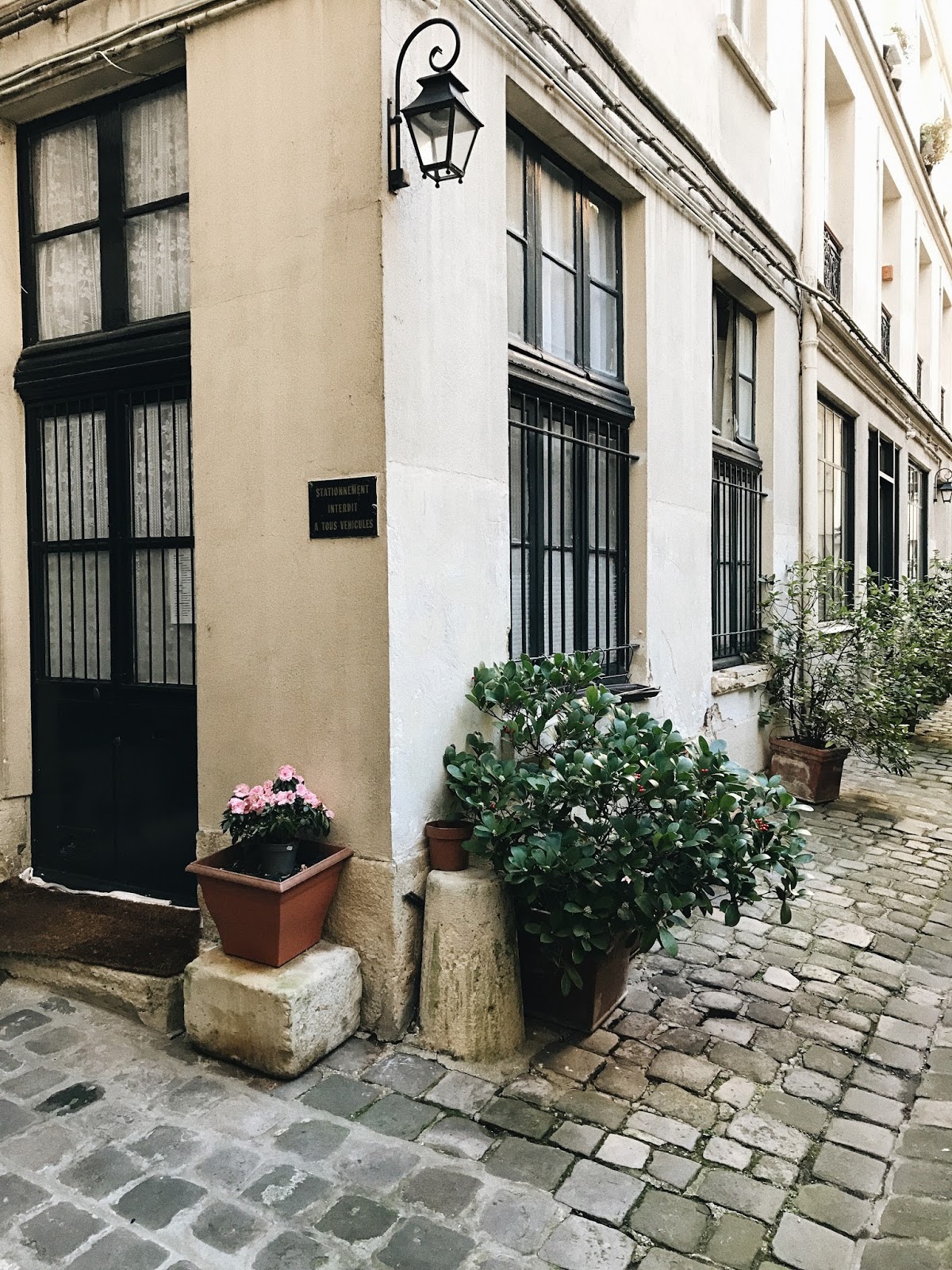 What Being Twenty Is Like Hello From Paris Volume Two what-being-twenty-is-like-hello-from-paris-volume-two