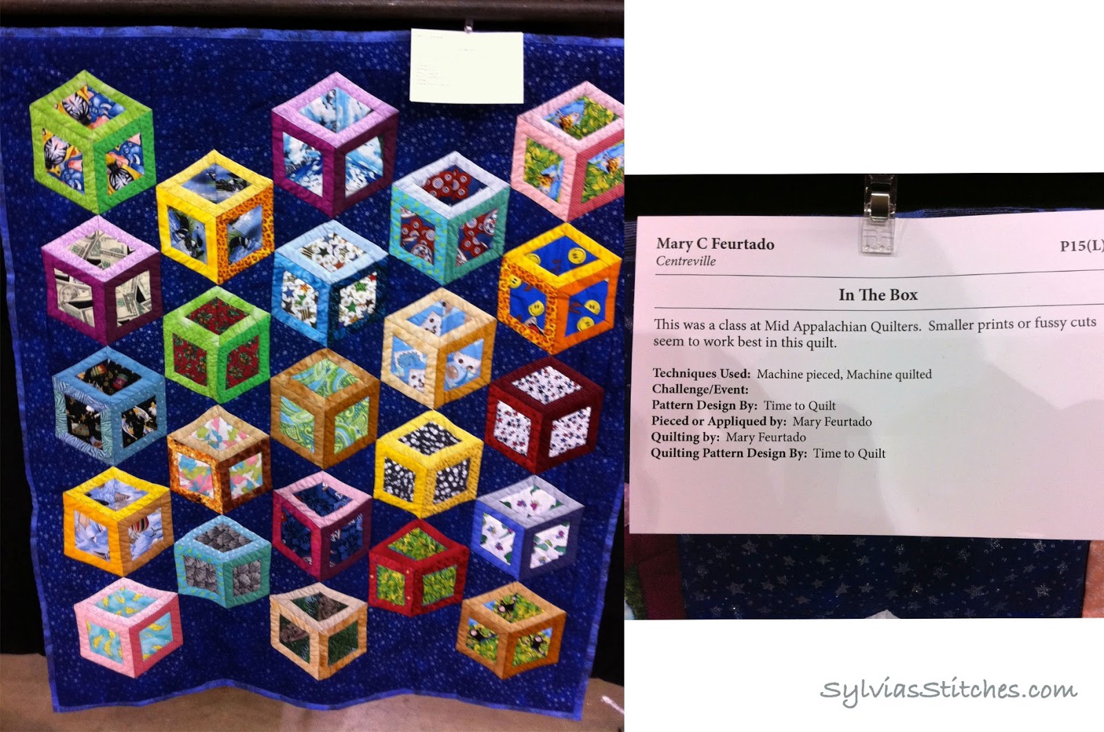 Quilt Show Inspiration, FMQ & Good News! - Sylvia's Stitches