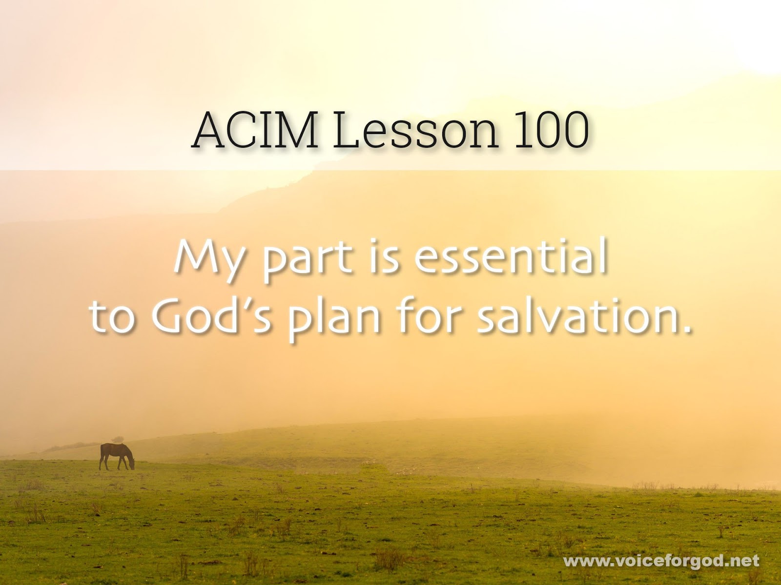 Miracle Life: ACIM Workbook Lesson 100