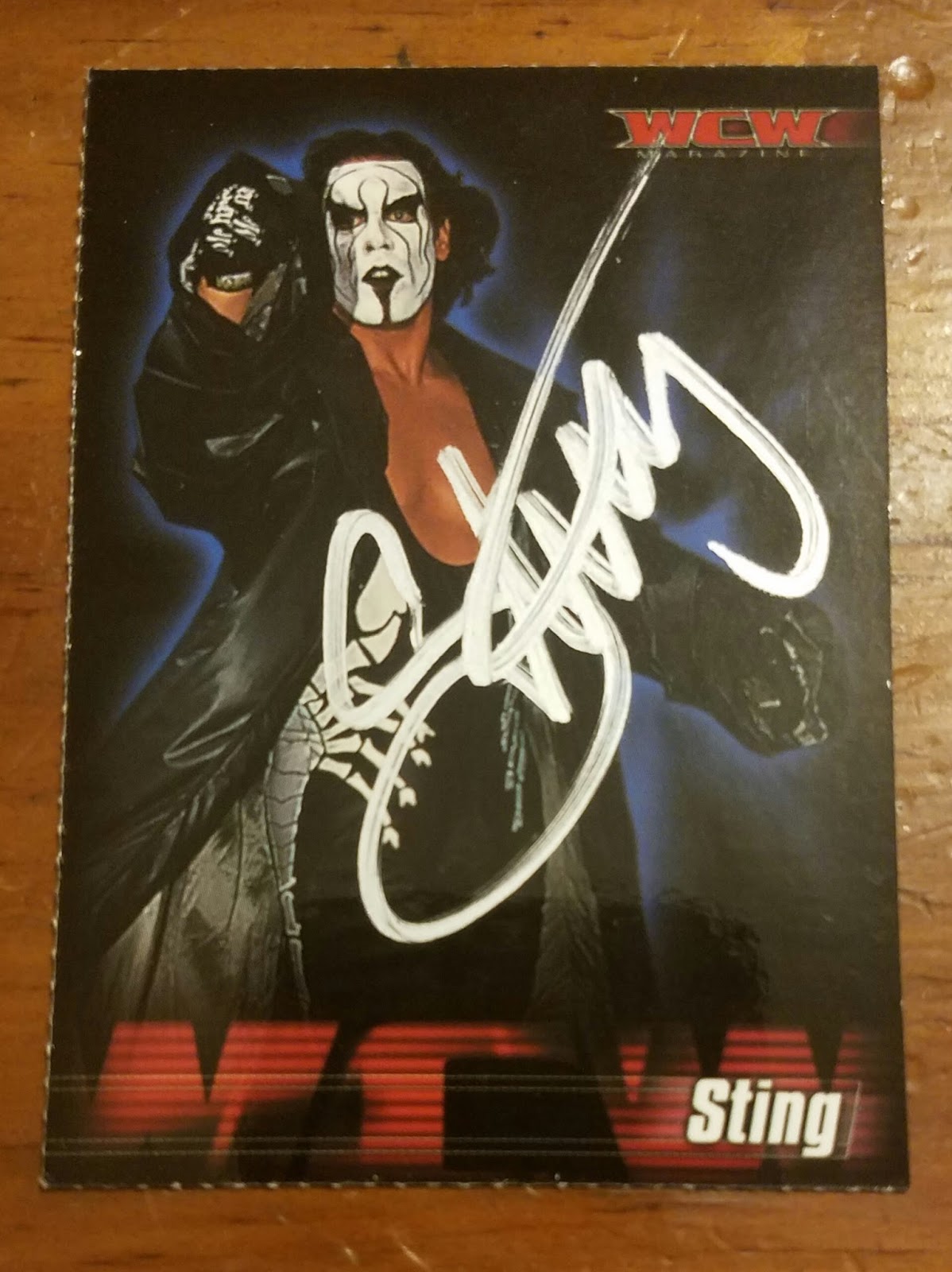 Wcw Sting 2000