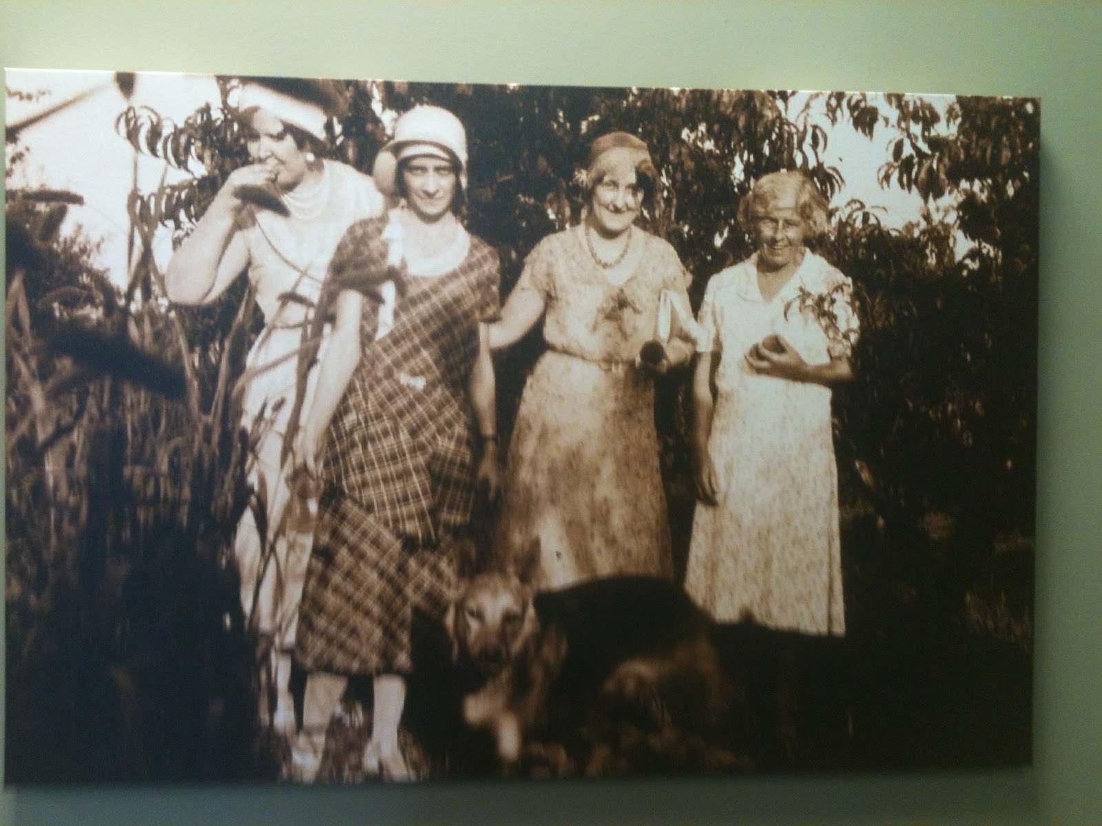 Butterflies Gourds and More: "Elsie's"