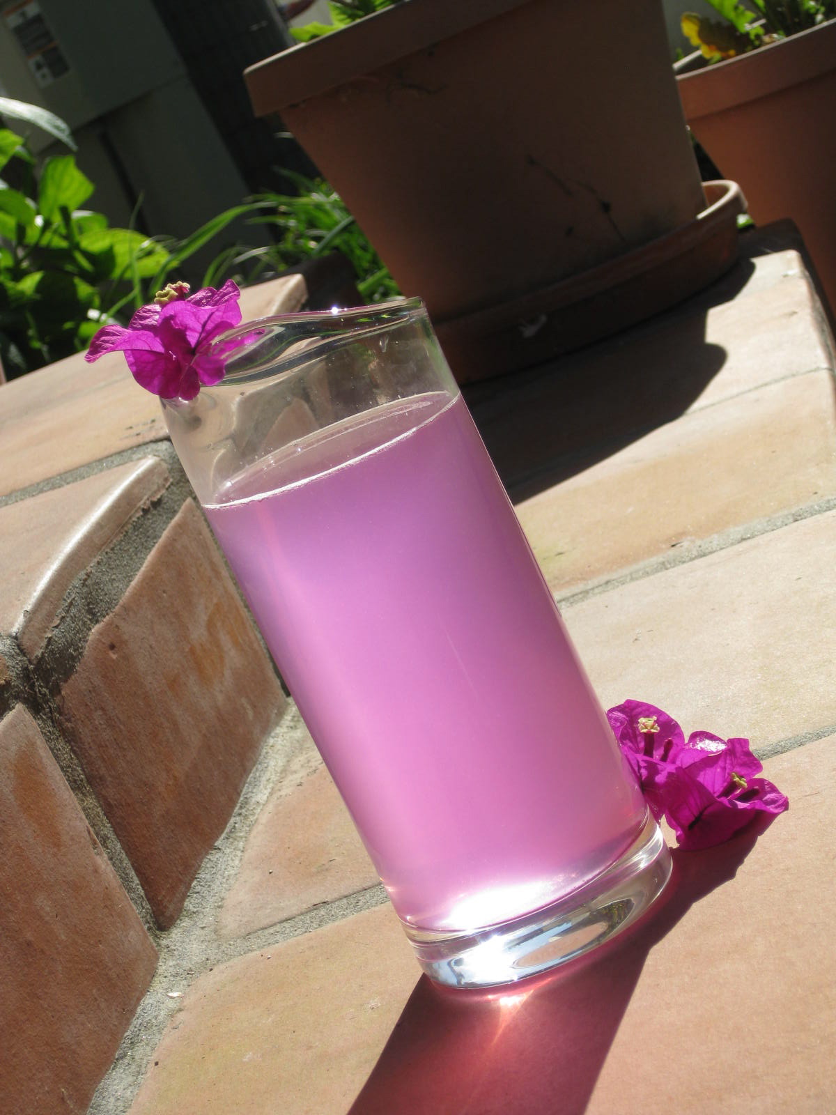 Flavors of the Sun: An Insanity of Color and a Summery Bougambilia Drink