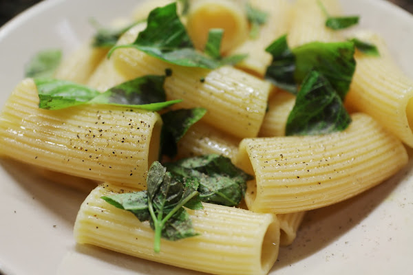 Joel's Photo Diary: Gentile Pasta from Italy