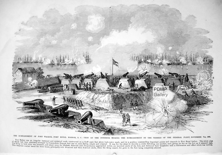 Freshwater Gastropods of North America: The Many Invasions of Hilton Head