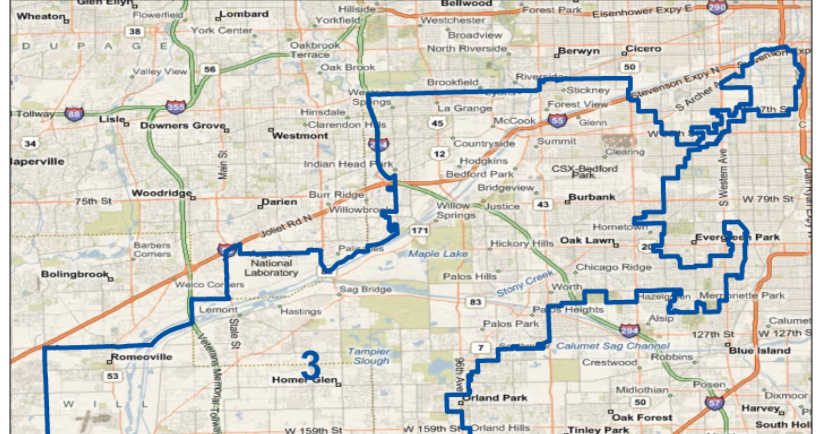 Will County Politics: West Suburban Indivisible Groups Endorse Marie ...