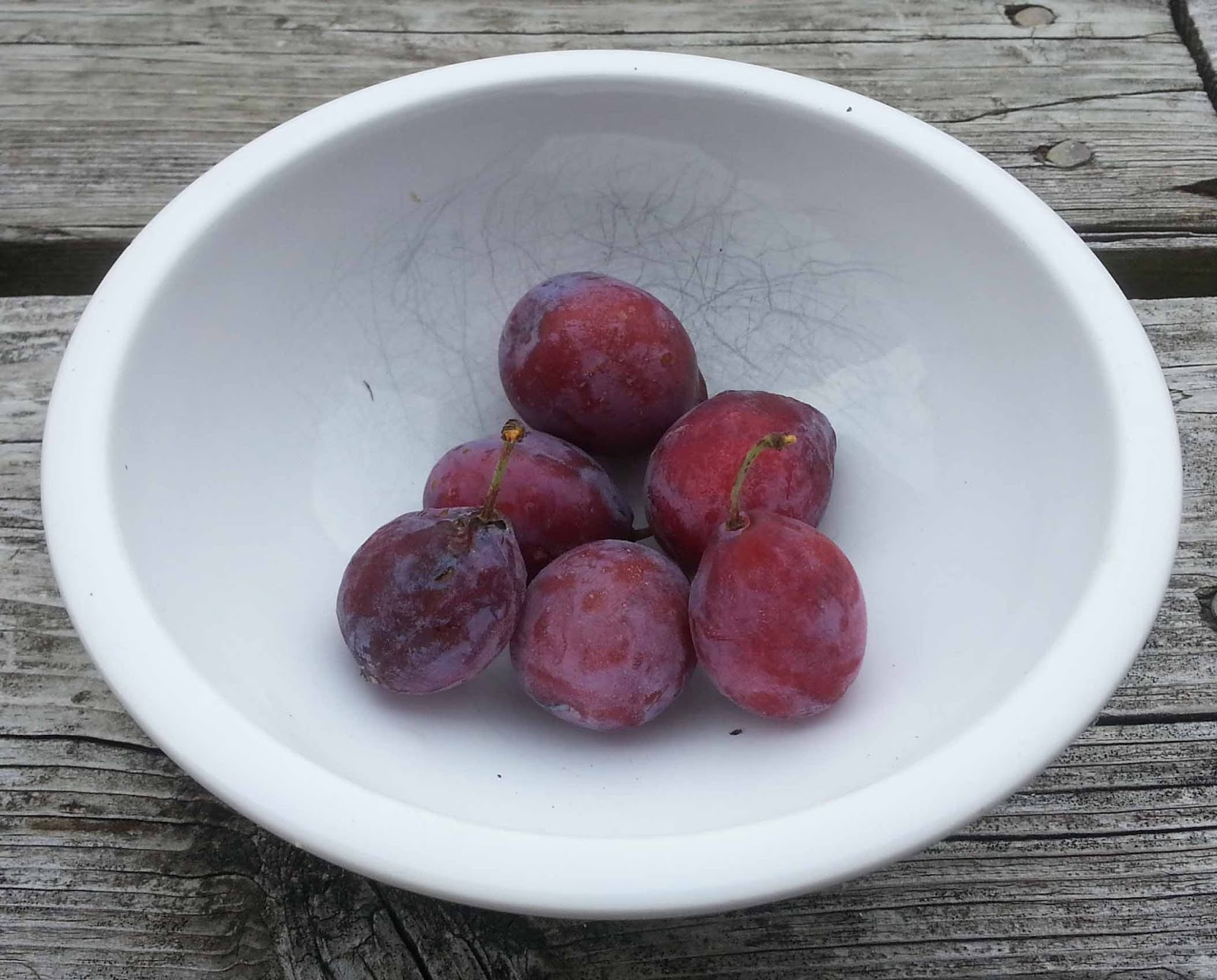 The Gardening Me: Harvest Monday - September 14, 2015