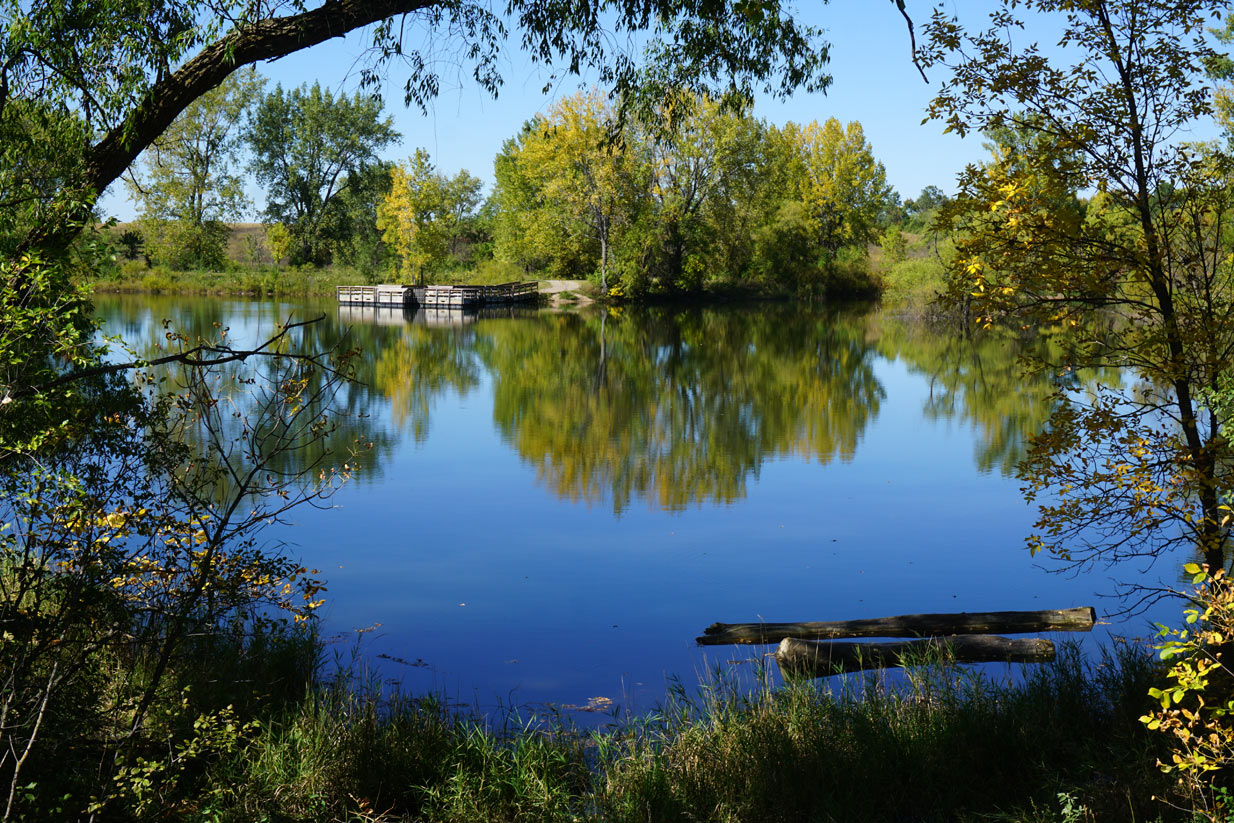 Taken For Granted: Pond Reflection