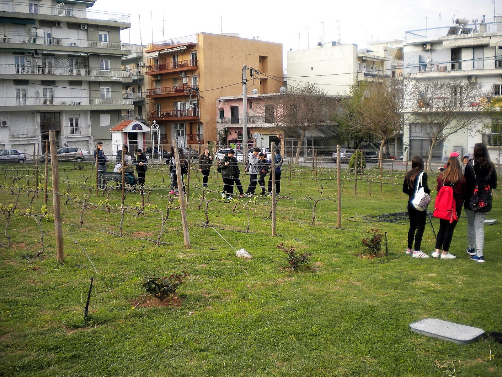 2ο ΓΥΜΝΑΣΙΟ ΕΧΕΔΩΡΟΥ-ΤΟ ΜΠΛΟΓΚ: ΕΠΙΣΚΕΨΗ ΣΤΟΝ ΑΣΤΙΚΟ ΑΜΠΕΛΩΝΑ ...