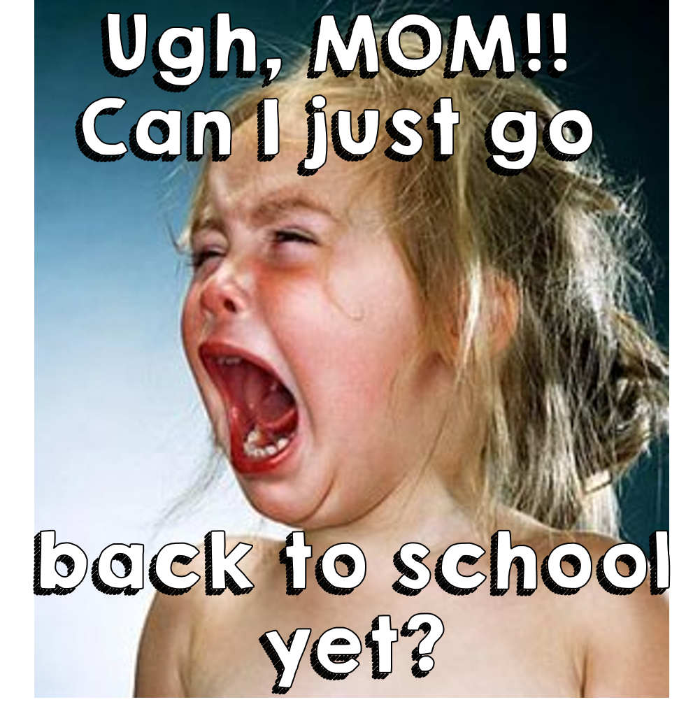 TeachNC Back To School Back To School teachnc-back-to-school-back-to-school
