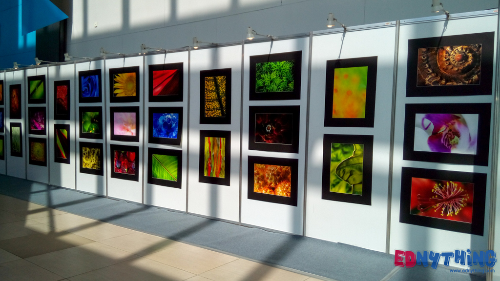 20th Graphic Expo 2015 - EDnything