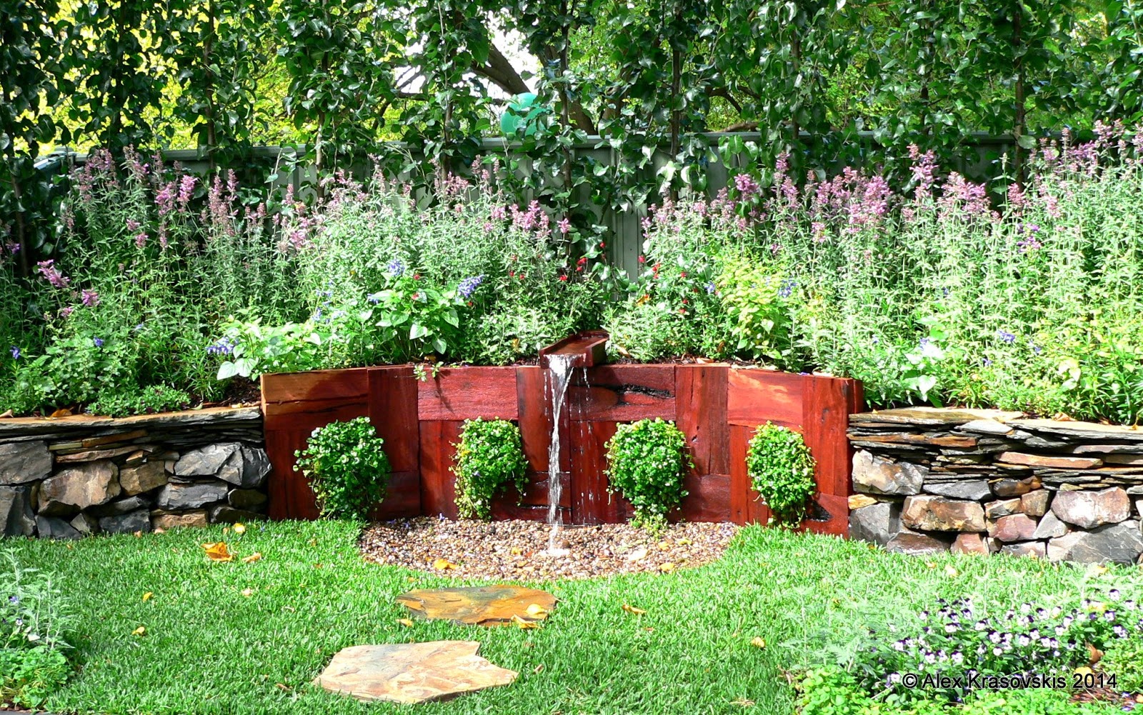 Aggregata Plants & Gardens: Melbourne International Flower & Garden ...