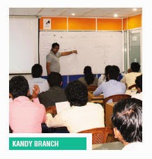 JAVA INSTITUTE: Branches network