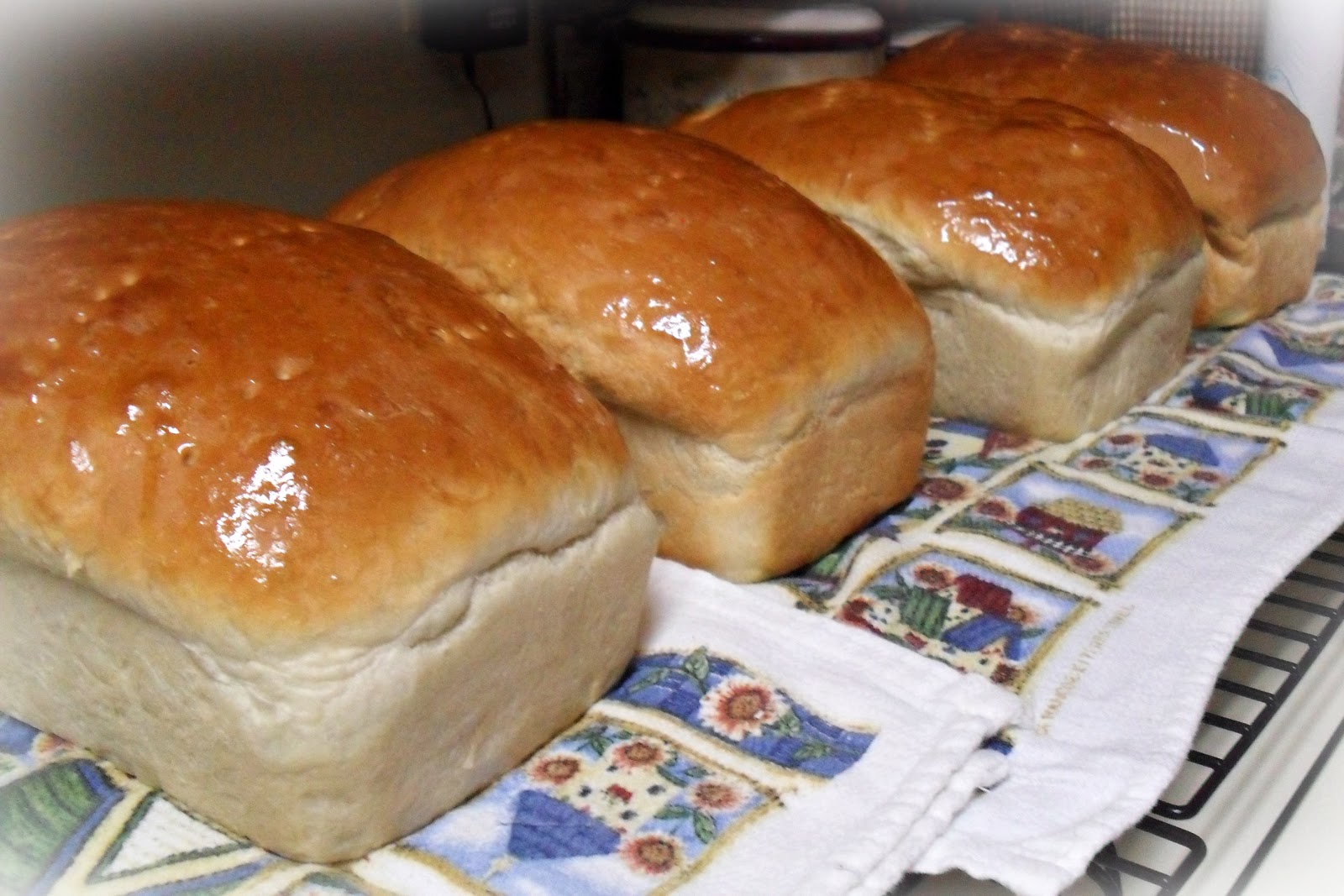 Candid Cooking: Give us this day our daily bread...