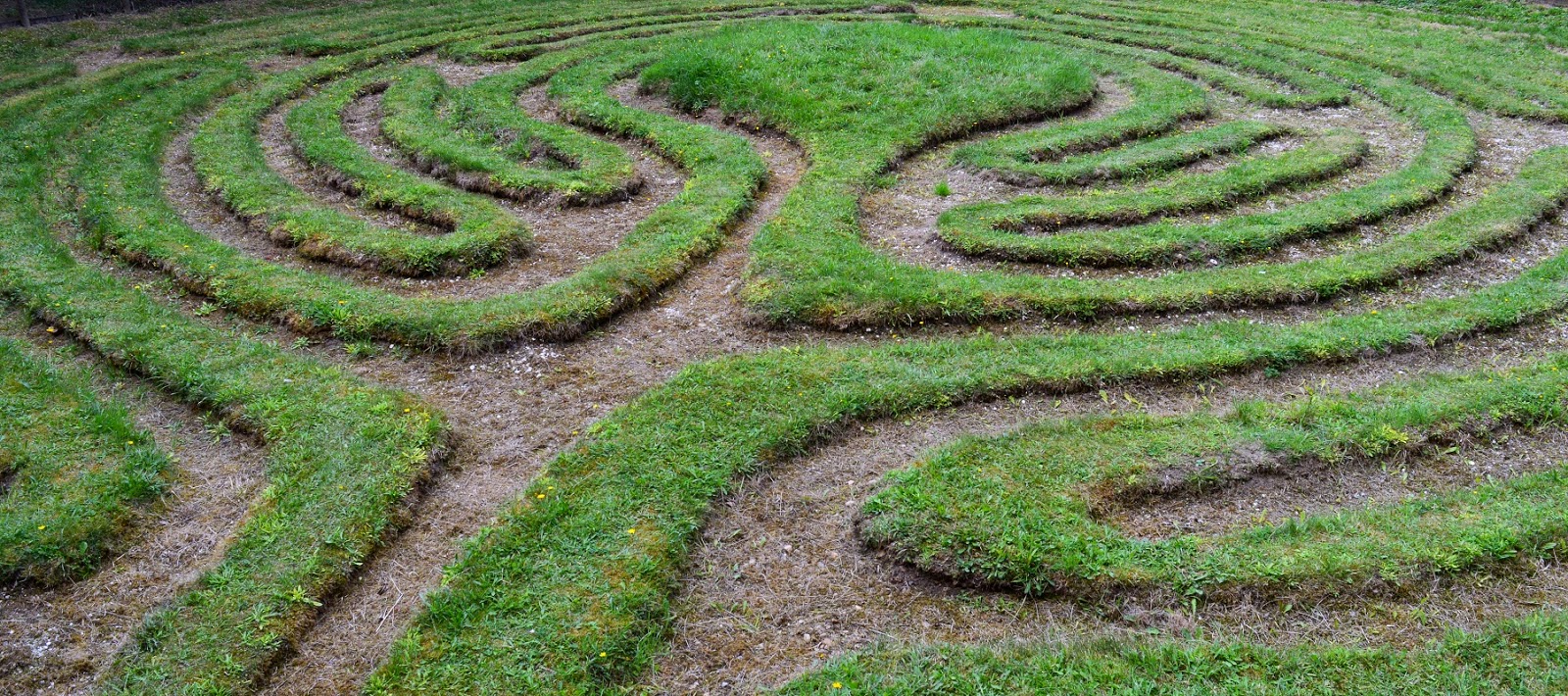 IF YOU GO DOWN TO THE WOODS TODAY....: Miz-Maze