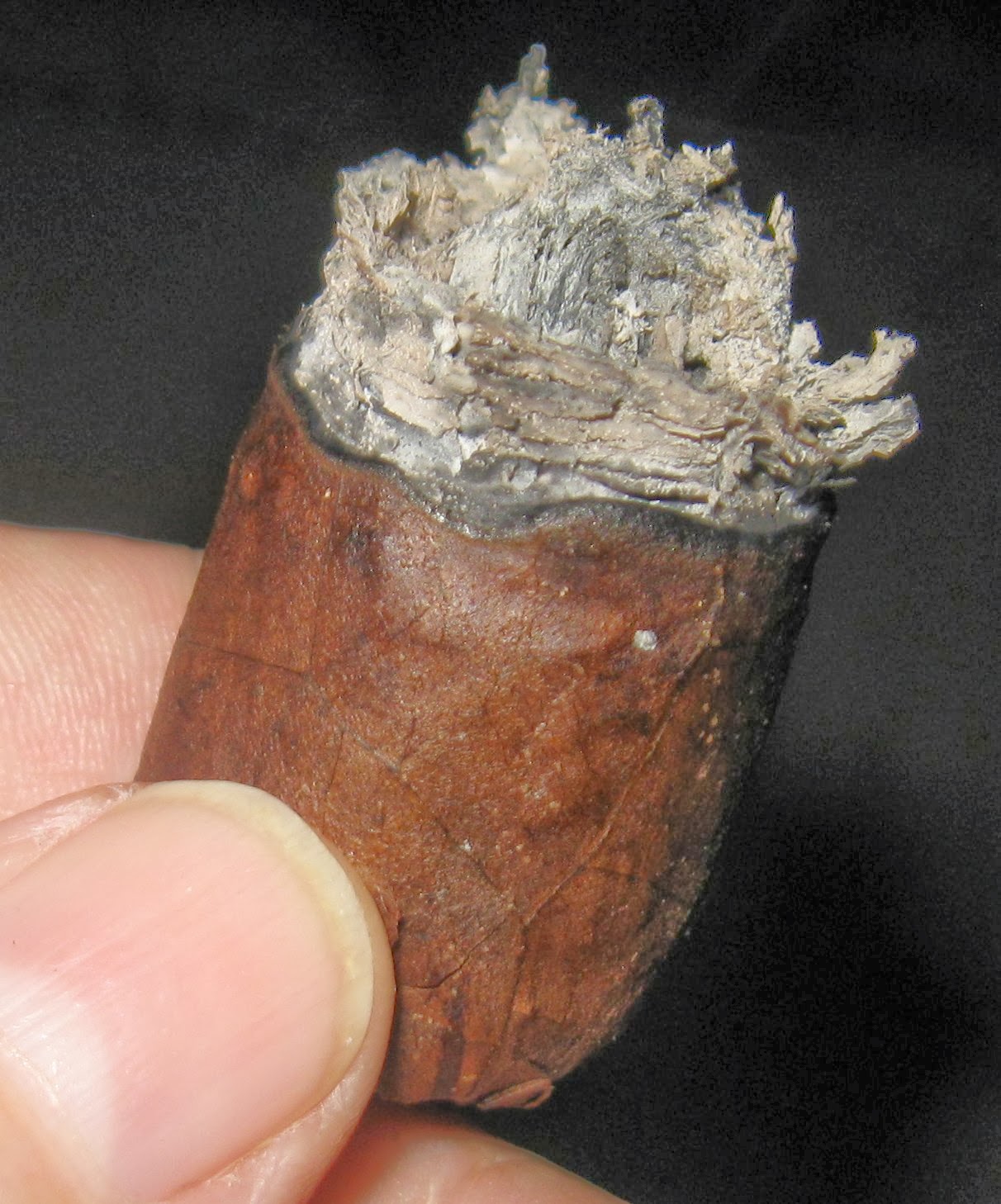 Cheap Charlie, Cigars: Inch cigar by E.P. Carrillo Cigar Co.
