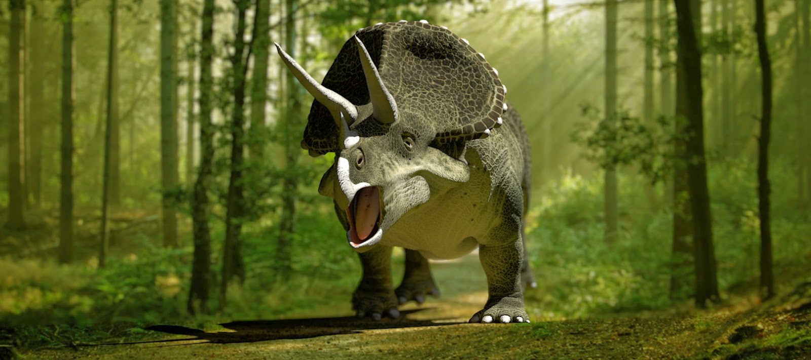 Channel 20: History: Triceratops the "Three-Horned Face Dinosaur ...