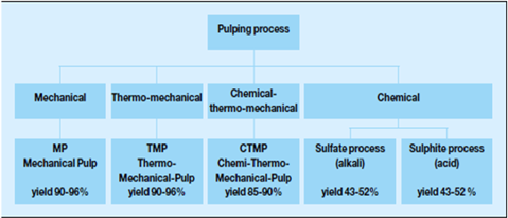 Pulp production ~ Cikal Network