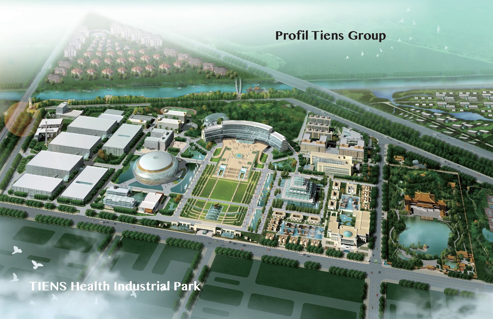 Tiens Indonesia: Profil Perusahaan