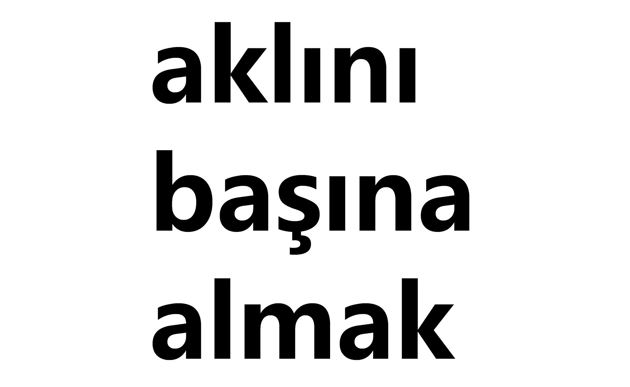 Aklını Başına Almak Bilgincin