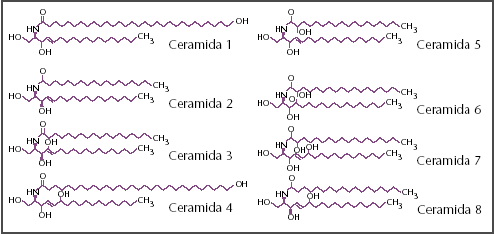 Milerenda: febrero 2012