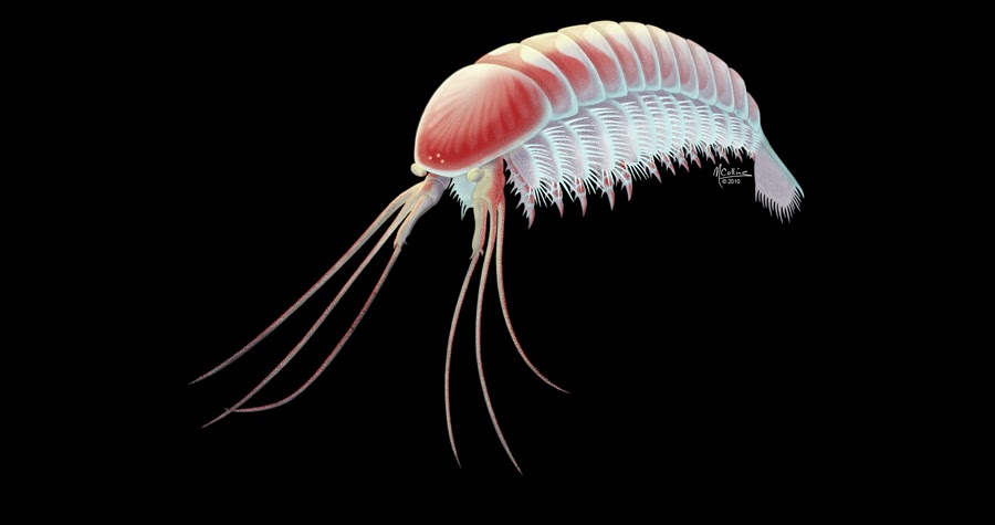 Palaeos, la historia de la Vida en la Tierra: Quiero saber más: El ...