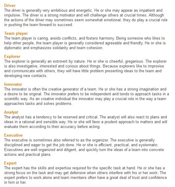 Learning for Success: Belbins Team Role Test