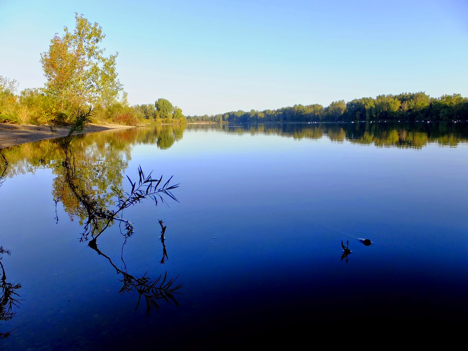 All about trees and plants: Ladies and Gents!