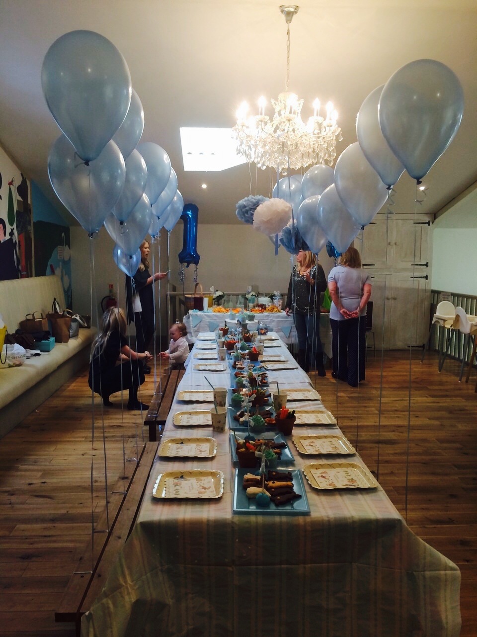 Jo's Blue AGA: Buddy's 1st Birthday Party
