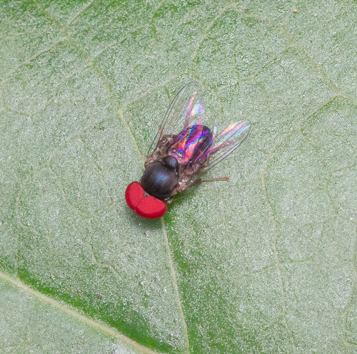 Real Monstrosities: This is the problem with Christmas...