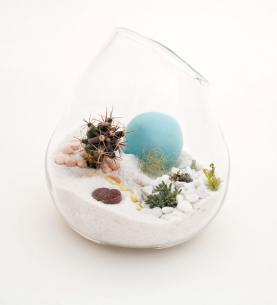 Fresh Decor: Eye-Catching Small Glass Terrariums From Lítill