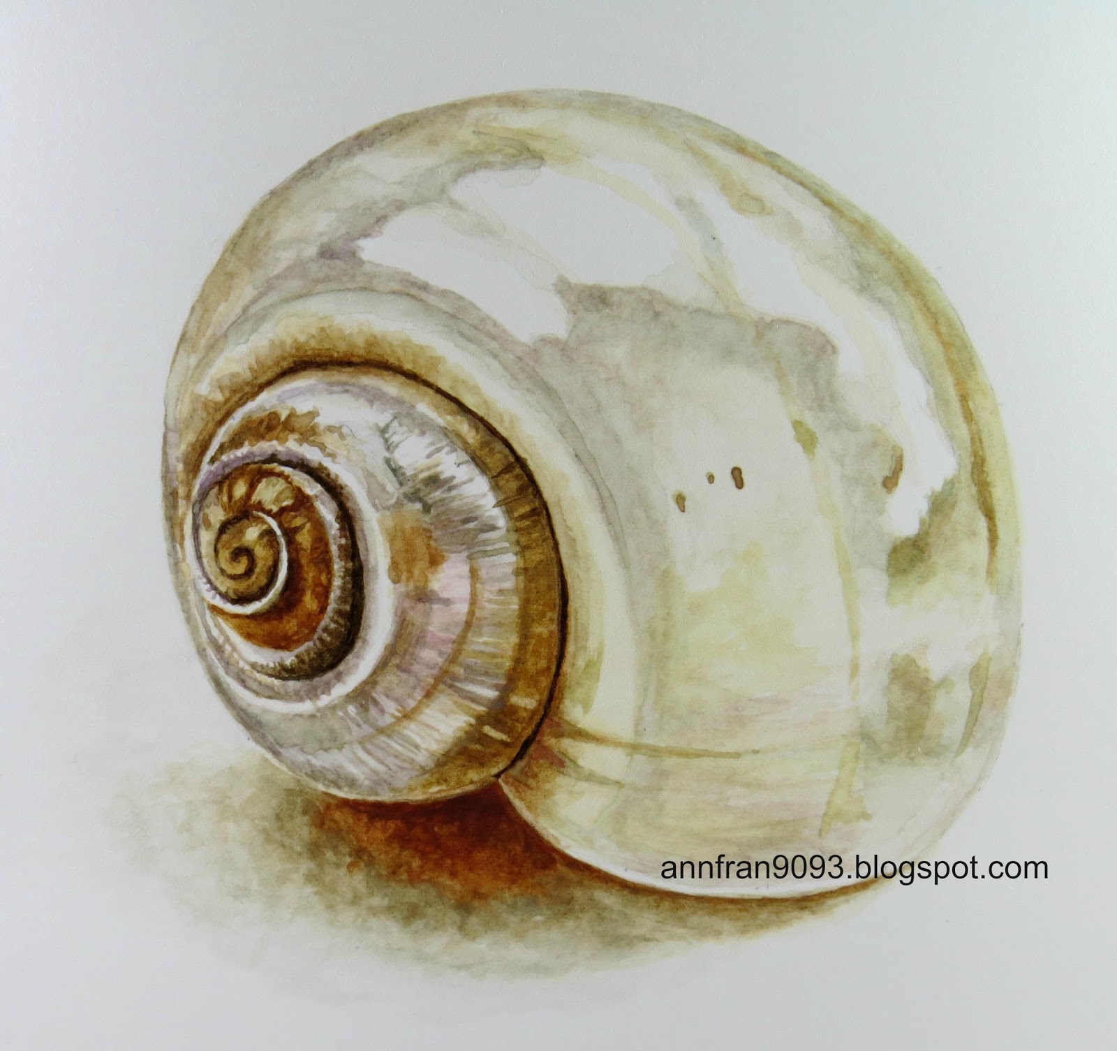 AnnFran: Shell Watercolor