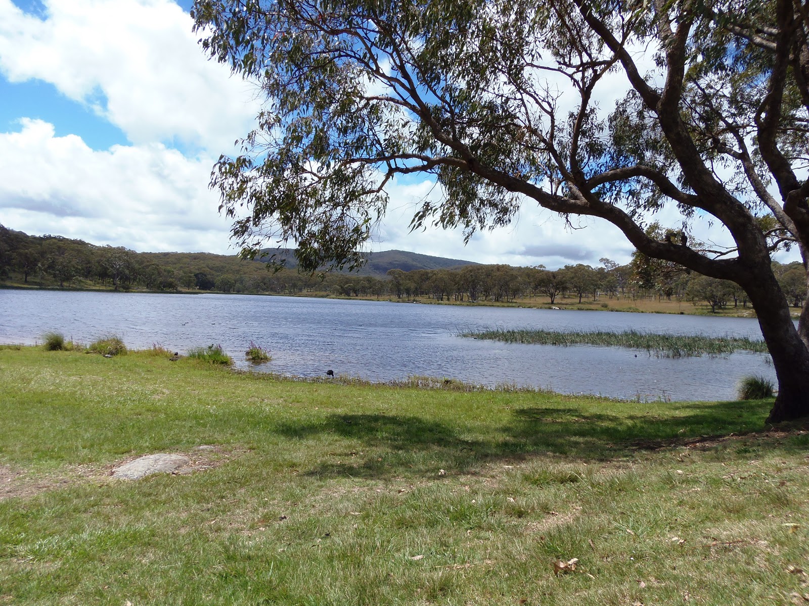 Solo Steve On The Road: ARMIDALE NSW AND DUMARESQ DAM