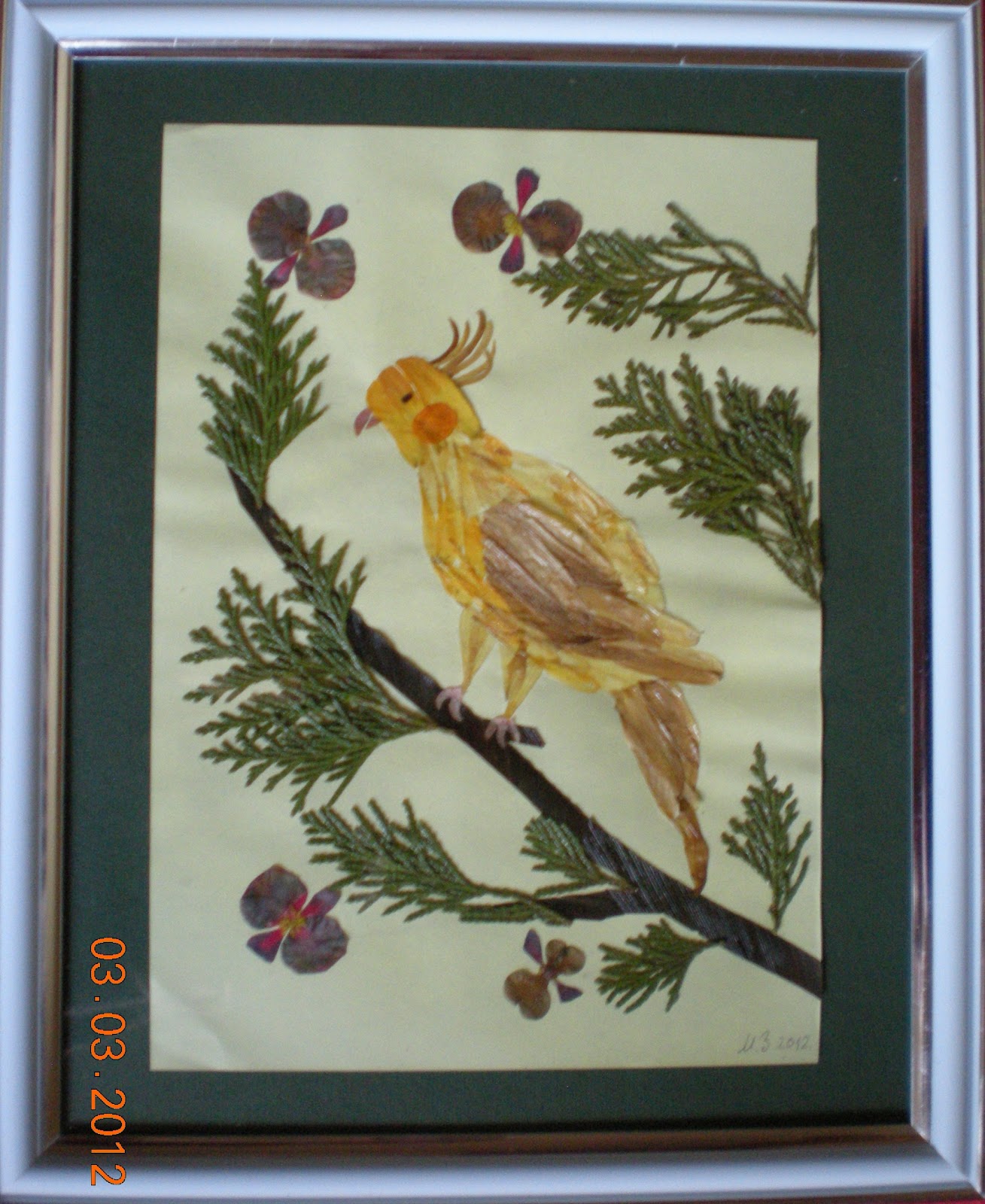 Slike od presovanog cveca i lisca: Slike od suvog cveca i lisca