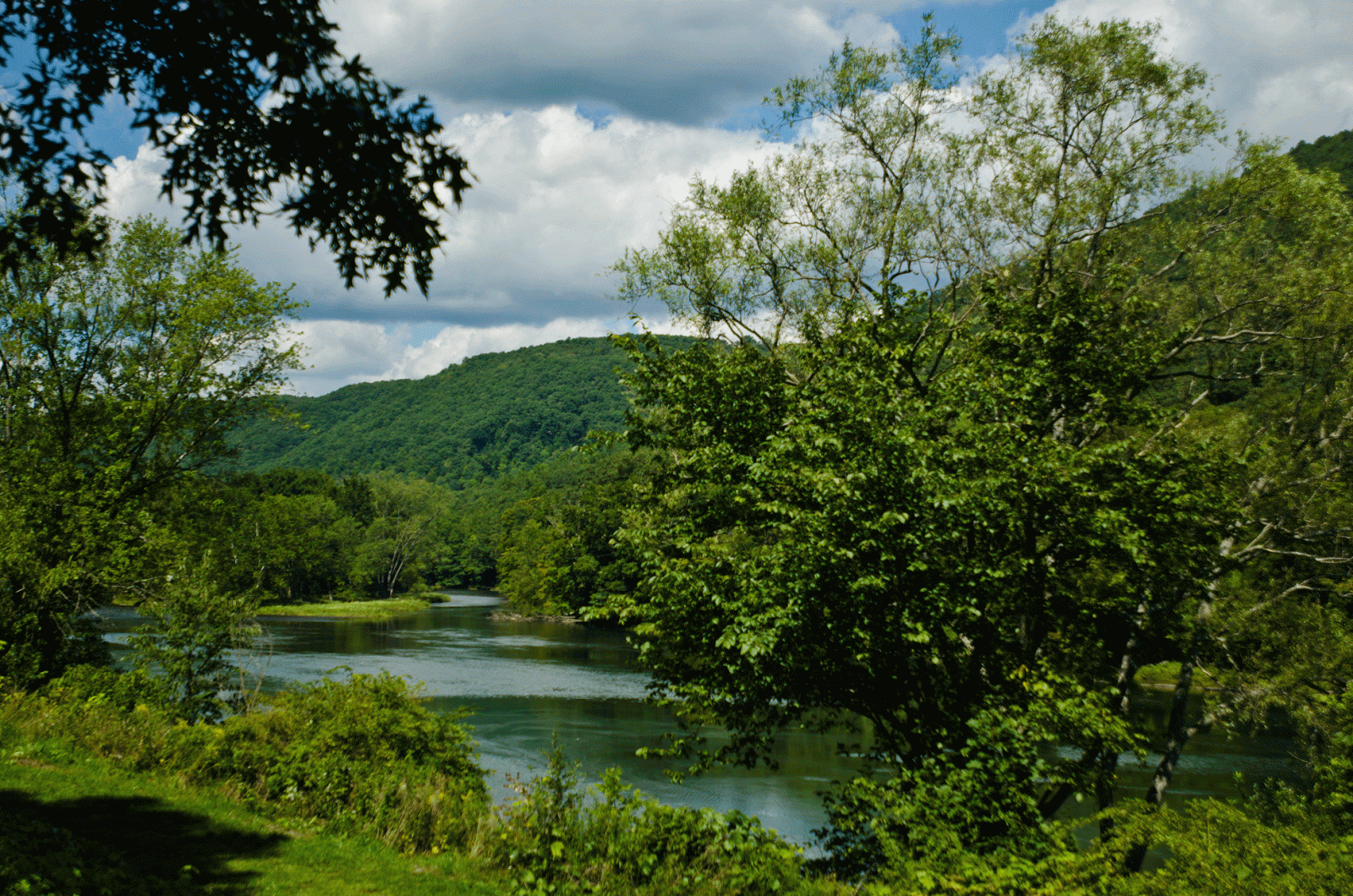 Journeys With Judy: Allegheny National Forest PA