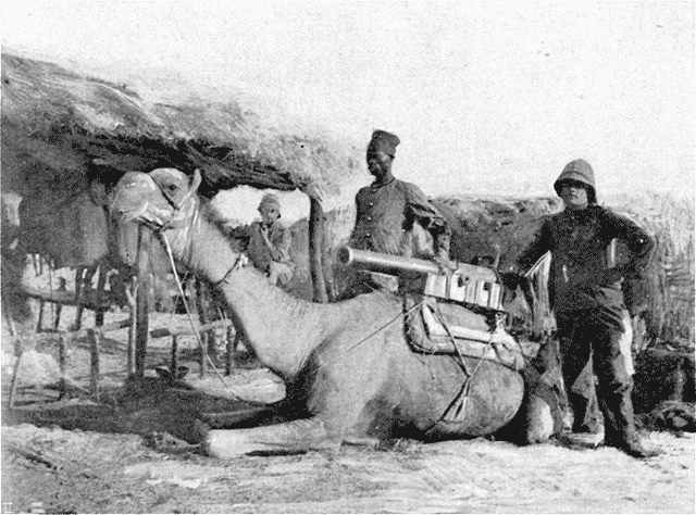 Tingtinglongtingtingfala: Camel Guns